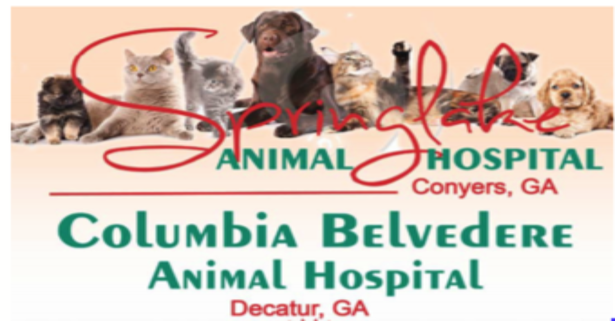 Guyana Association of Georgia – Though Diverse Together We Can Build